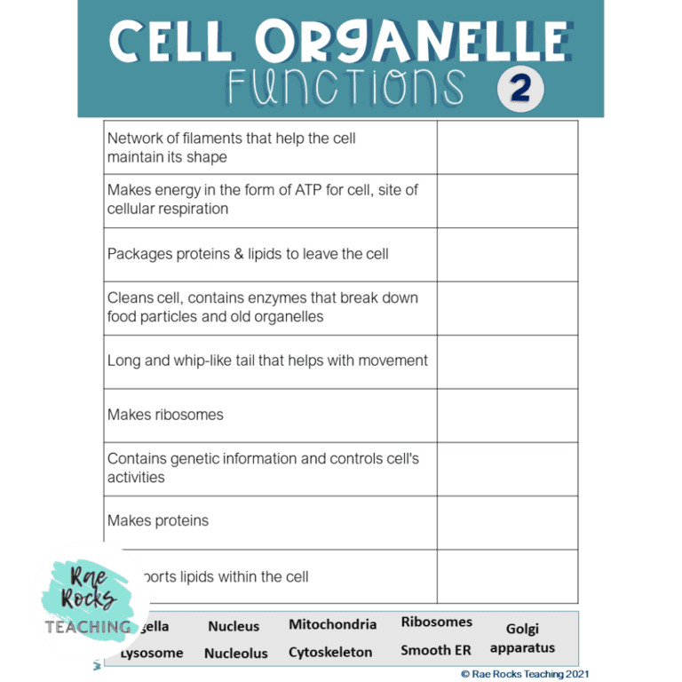 3 Cell Organelle Games to Review - Rae Rocks Teaching