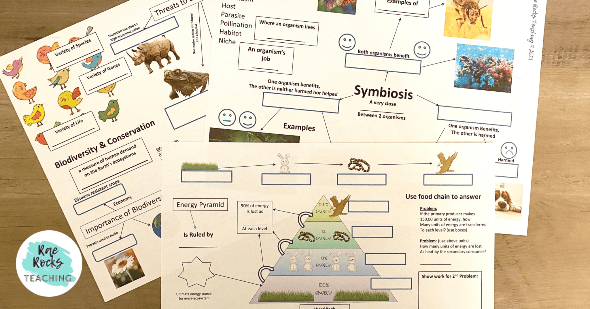 Using Concept Mapping of Science Topics - Rae Rocks Teaching