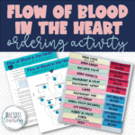 Flow of Blood in the Heart - Rae Rocks Teaching
