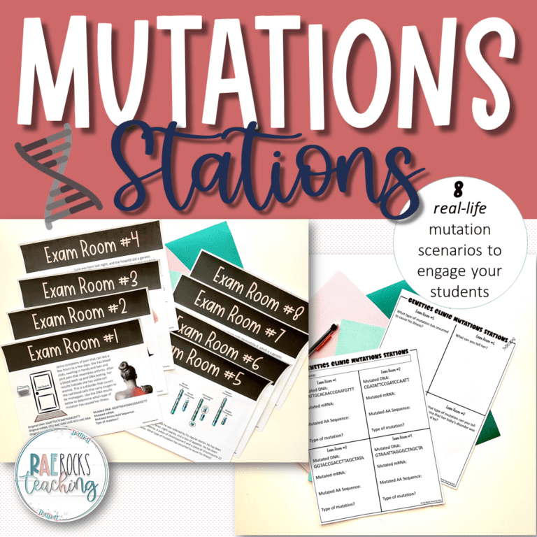 Examples of Mutations - Rae Rocks Teaching
