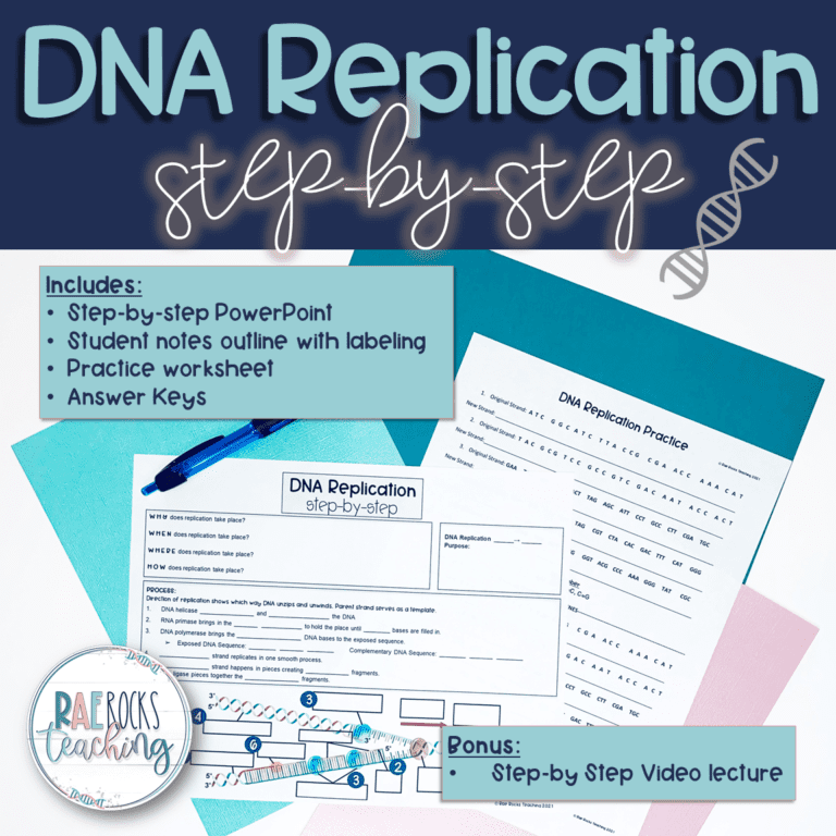 DNA Replication with Enzymes - Rae Rocks Teaching