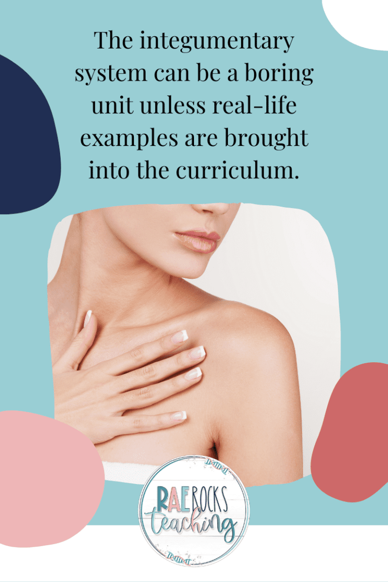 The Best Skin Disorder Project to Engage Your Anatomy Students - Rae ...