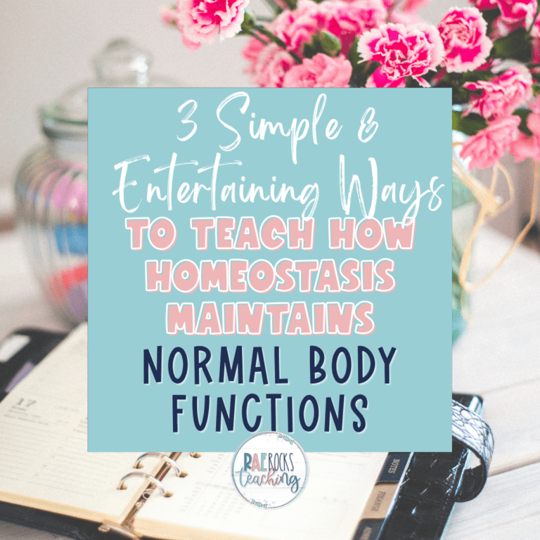 Three Simple & Entertaining Ways to Teach How Homeostasis Maintains ...
