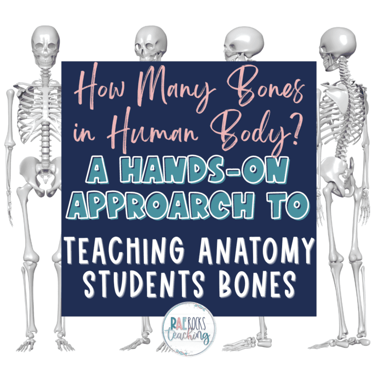 How many bones in human body? A Hands-on approach to teaching anatomy ...