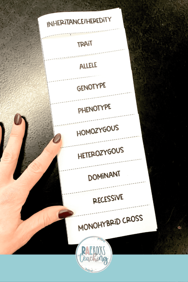 4 Easy Foldables in the Classroom I Use to Teach Mendelian Genetics ...