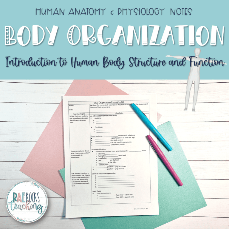 A Human Body Structure - Rae Rocks Teaching