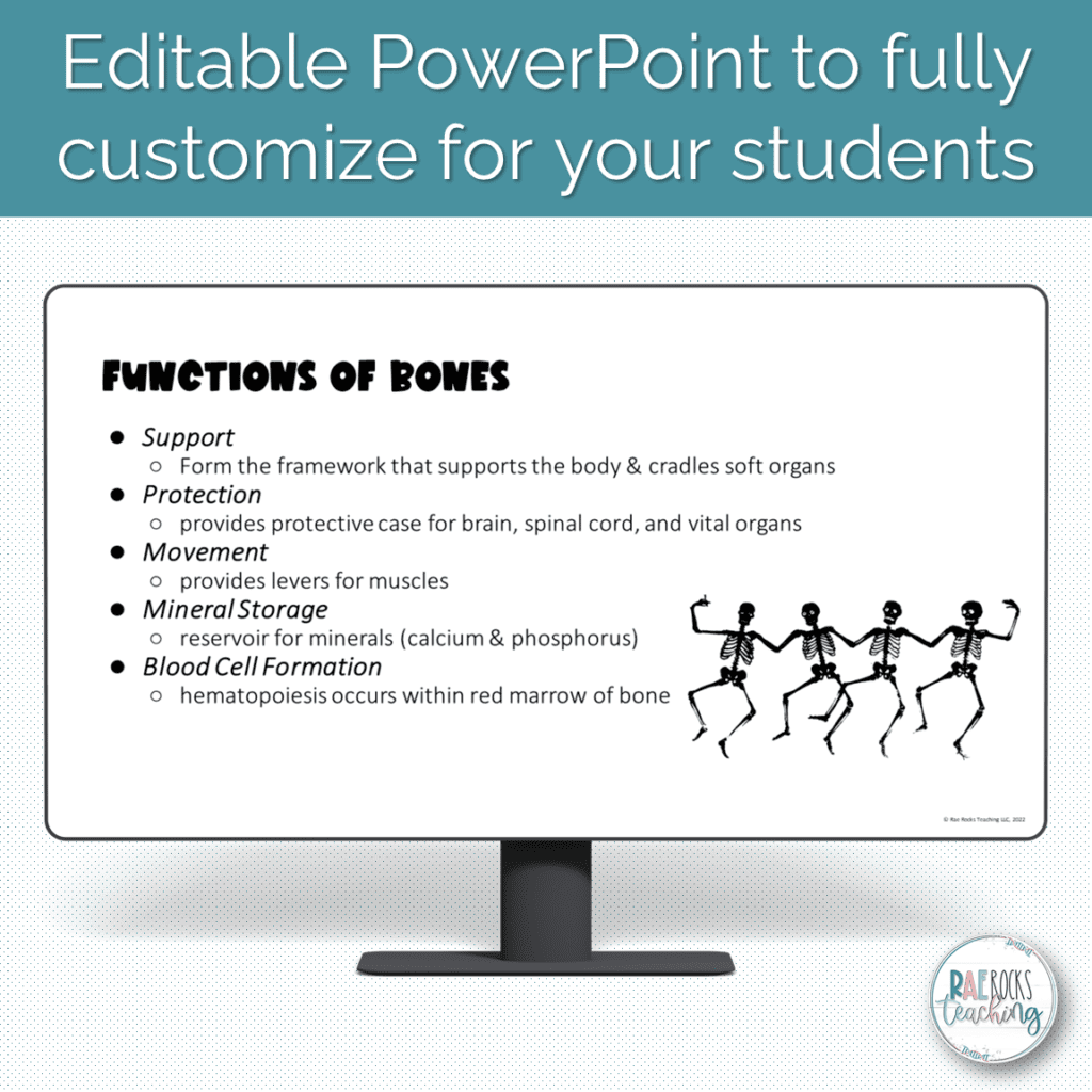 The Skeletal System Joints - Rae Rocks Teaching