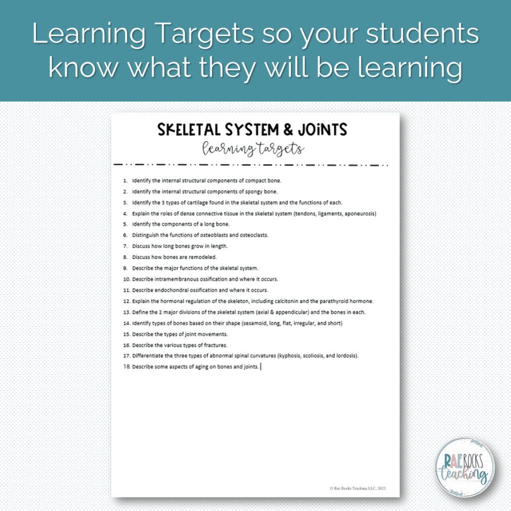 The Skeletal System Joints - Rae Rocks Teaching