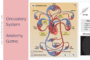 Benefits of Learning Explore Gizmos: How This App Enhances Students ...