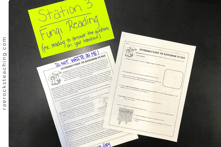 How and Why I Use Student-Led Stations to Teach Kingdoms Living ...