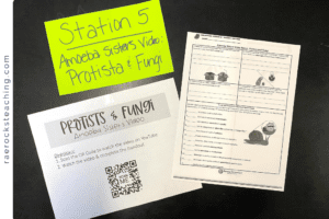 How and Why I Use Student-Led Stations to Teach Kingdoms Living ...