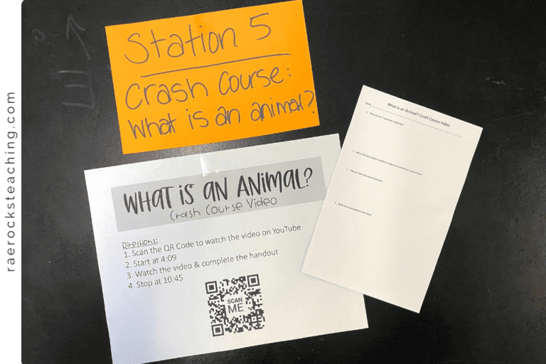 How and Why I Use Student-Led Stations to Teach Kingdoms Living ...