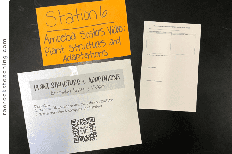 How and Why I Use Student-Led Stations to Teach Kingdoms Living ...