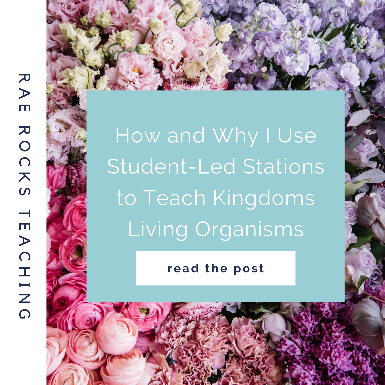 How and Why I Use Student-Led Stations to Teach Kingdoms Living ...