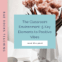 The Classroom Environment: 5 Key Elements to Positive Vibes - Rae Rocks ...