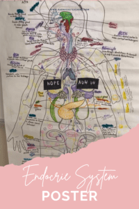 10 Project Based Learning Examples To Get Your Anatomy Students Fired ...