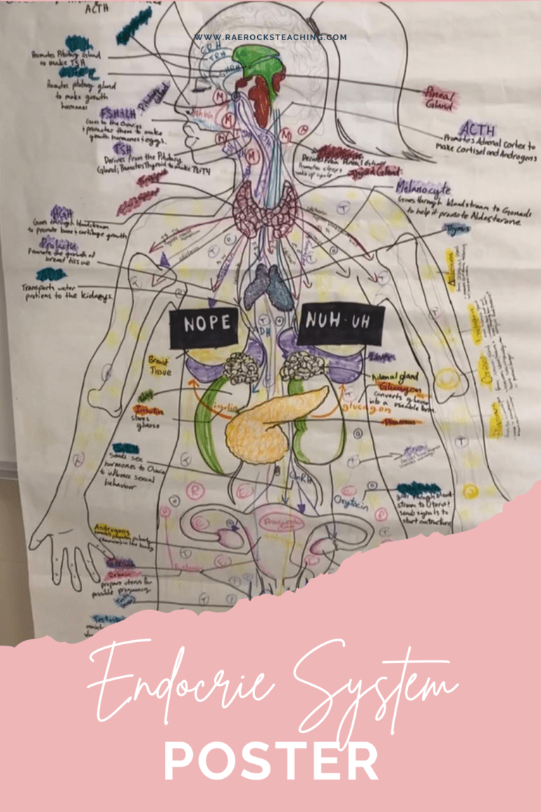 10 Project Based Learning Examples To Get Your Anatomy Students Fired ...