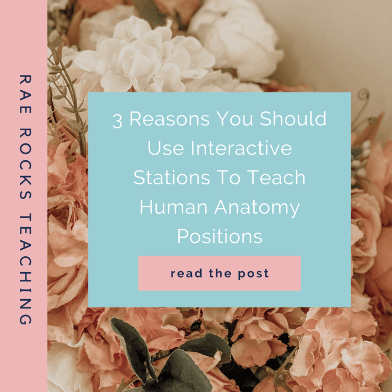 3 Reasons You Should Use Interactive Stations To Teach Human Anatomy ...