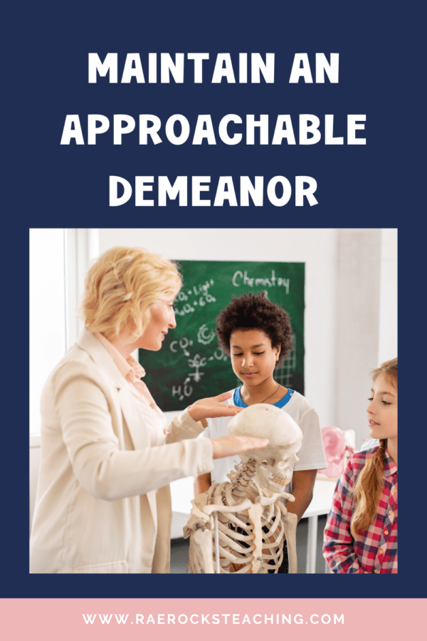 10 Strategies for Building Positive Teacher-Student Relationships - Rae ...