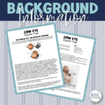 Parts of Cow Eye Dissection - Rae Rocks Teaching