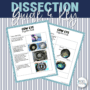 Parts of Cow Eye Dissection - Rae Rocks Teaching