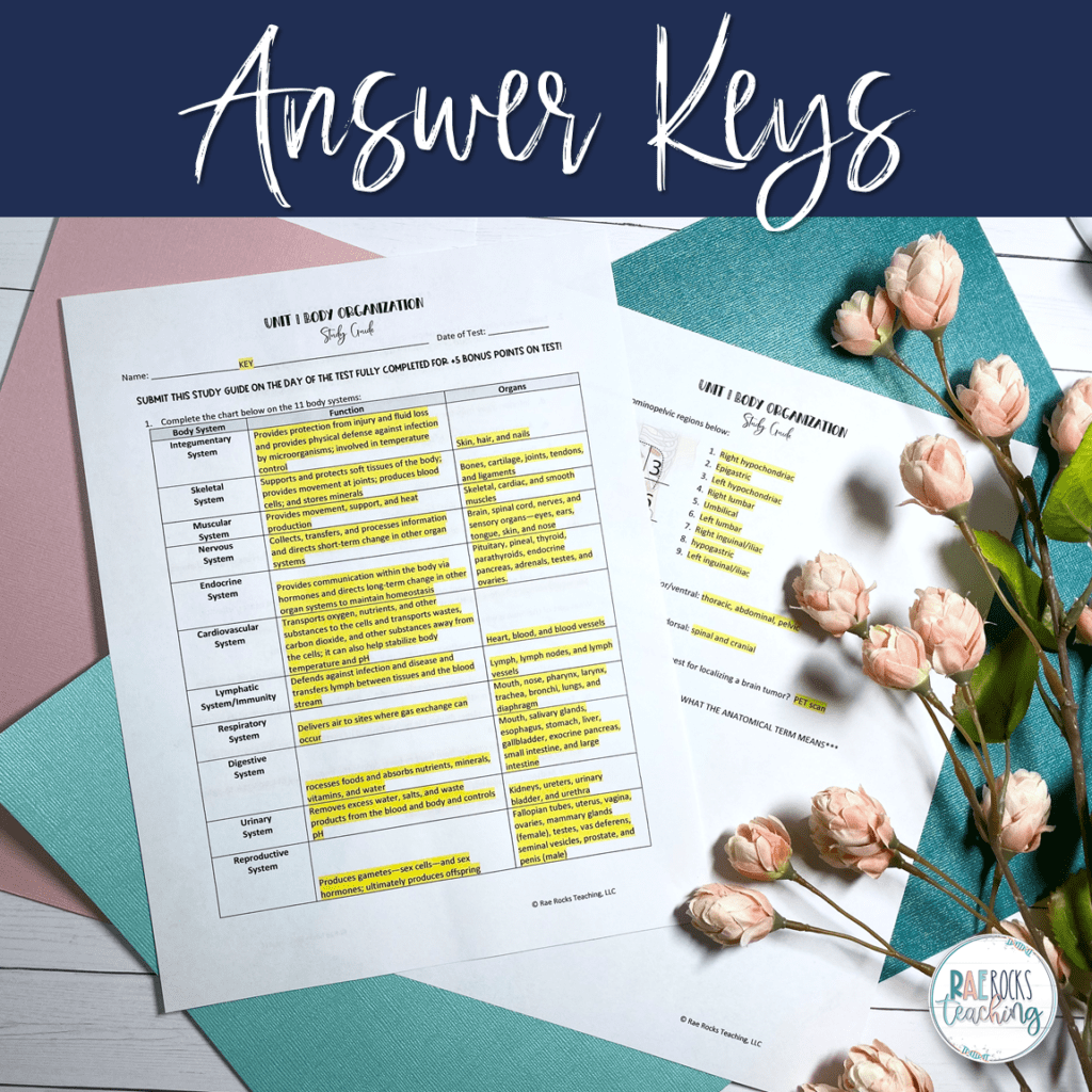 Human Anatomy Study Guides and Tests - Rae Rocks Teaching