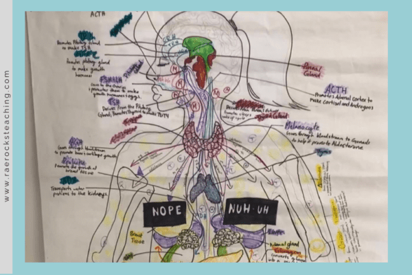 6 Best Project Based Learning Activities to Skyrocket Your Student ...