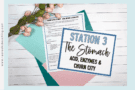 7 Fun Digestive System Lab Activities That Actually Get Your Students ...