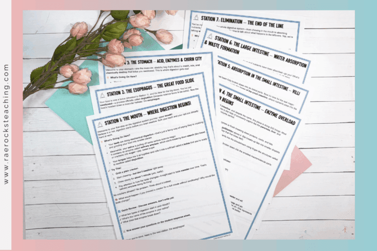 7 Fun Digestive System Lab Activities That Actually Get Your Students ...