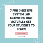 7 Fun Digestive System Lab Activities That Actually Get Your Students ...
