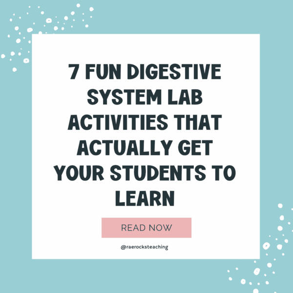 7 Fun Digestive System Lab Activities That Actually Get Your Students ...