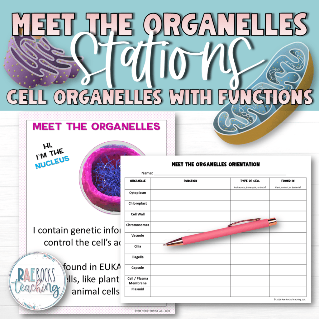 Cell Organelles with Functions - Rae Rocks Teaching