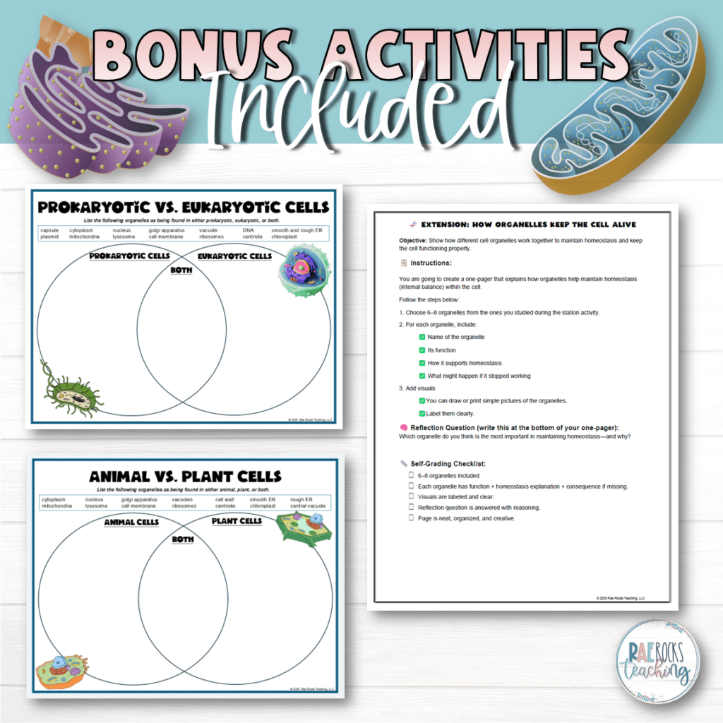 Cell Organelles with Functions - Rae Rocks Teaching