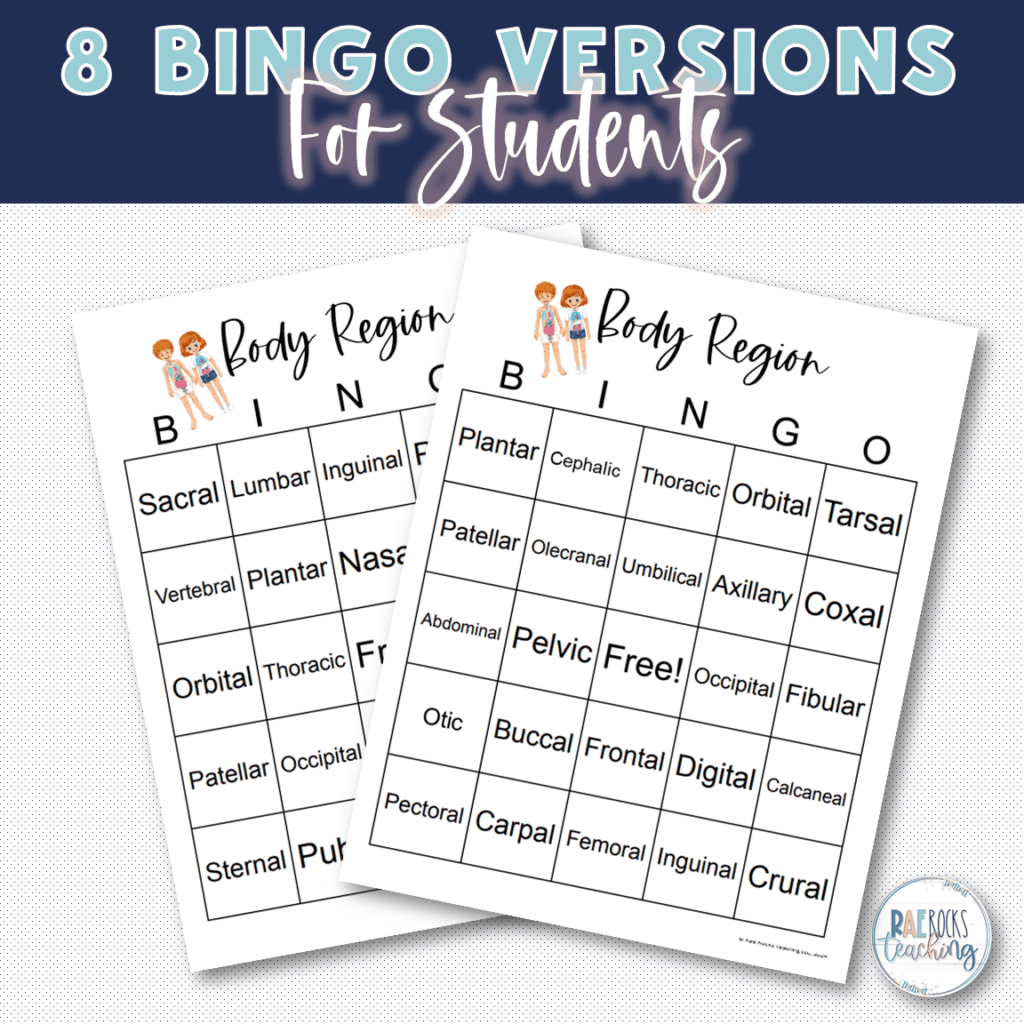 Human Body Region Bingo - Rae Rocks Teaching