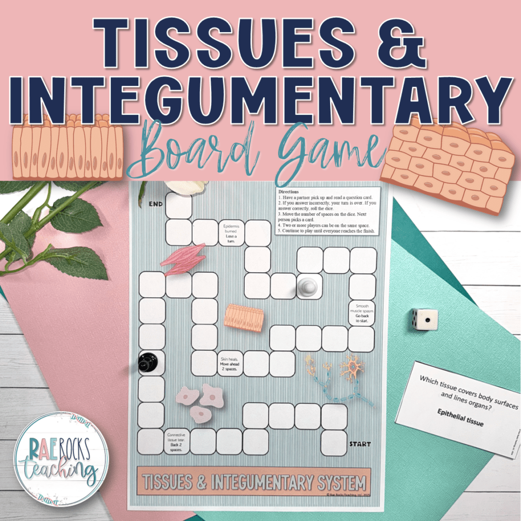 Tissues and Integumentary System - Rae Rocks Teaching