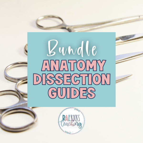 Anatomy Dissection Guide (Bundle) - Rae Rocks Teaching